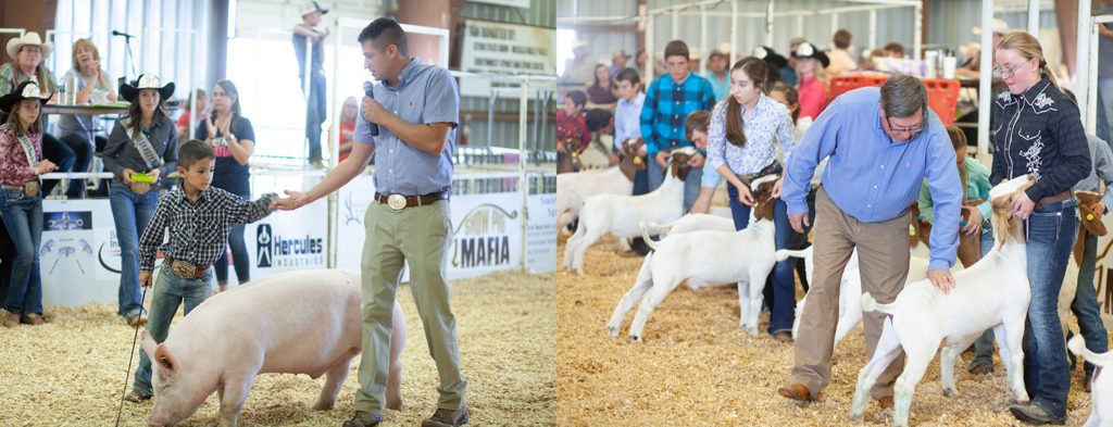 Home » Southern New Mexico State Fair